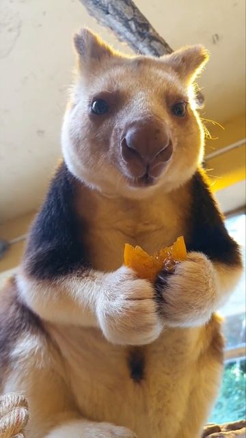 А у вас сегодня на завтрак что было