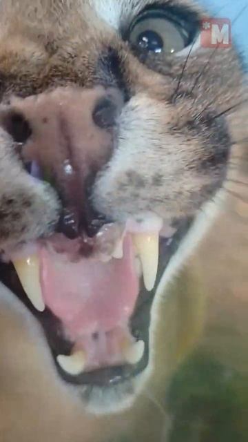 Продавщица в магазине 31 декабря