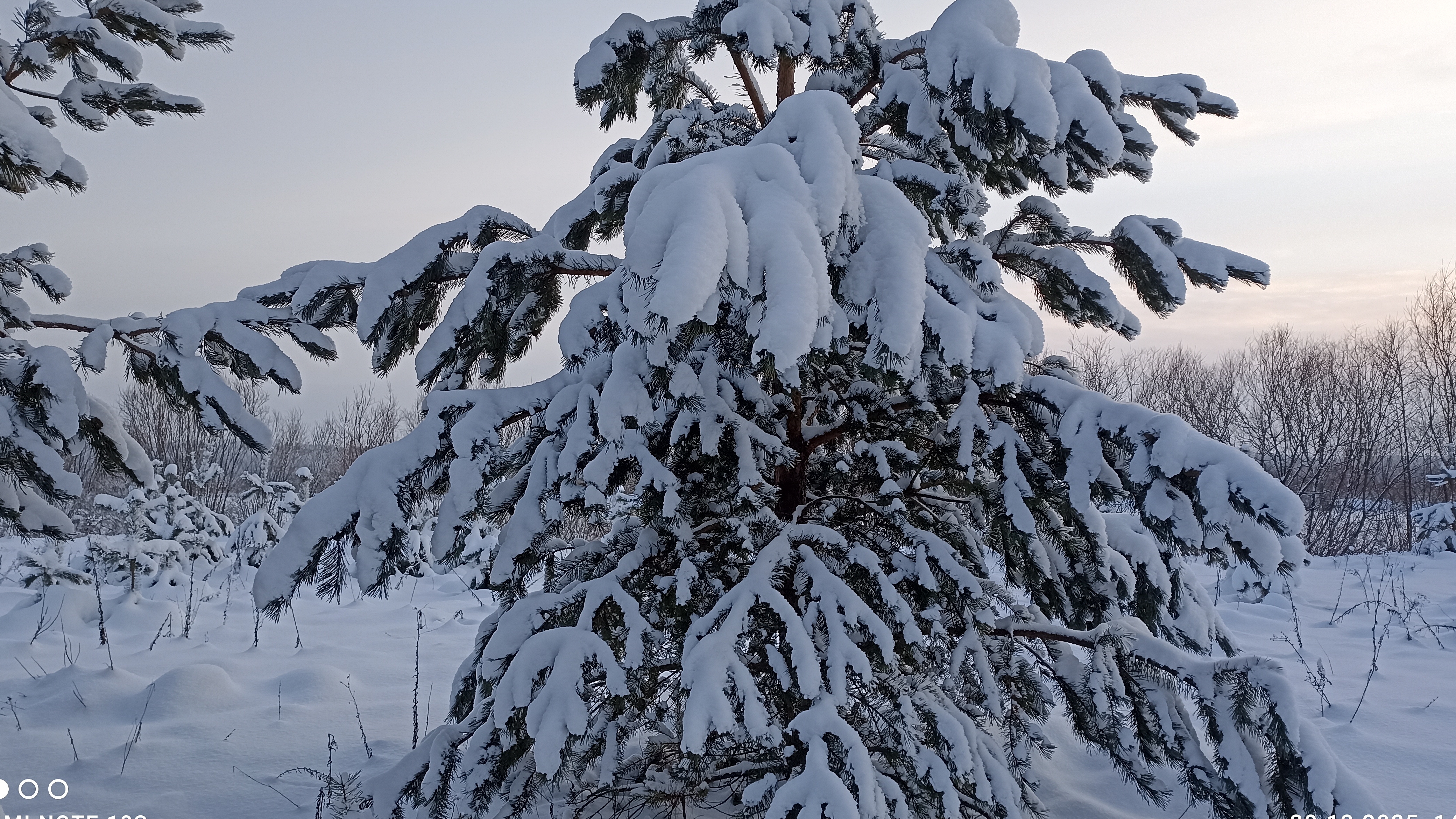 Зима на берегу Вятки.