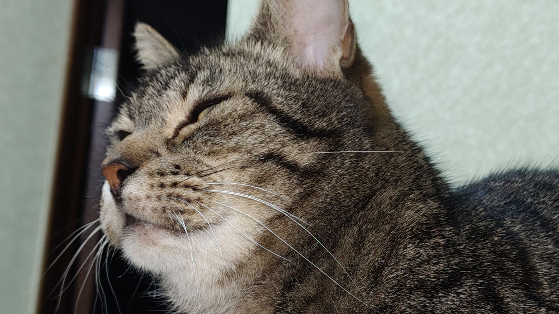 Вкус Победы