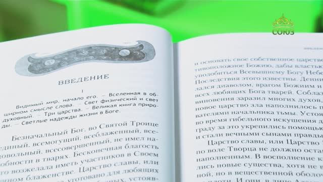 У книжной полки. Начало и конец нашего земного мира