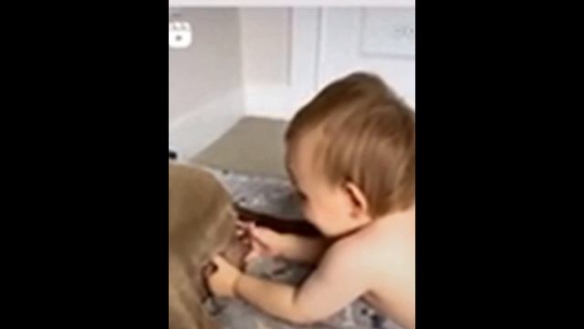 Трогай мои яйца Touch my balls