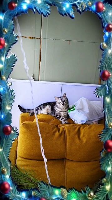 Новогодняя история