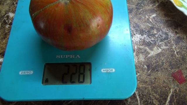 Томатные Гномы - ТЯЖЕЛОВЕСЫ. Гном Черный волшебник - ШОКОЛАДНЫЙ десерт. №900-24.