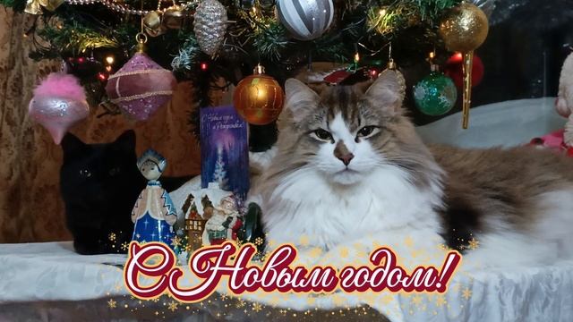 СЛЕДУЮЩАЯ ОСТАНОВКА - НОВЫЙ ГОД!