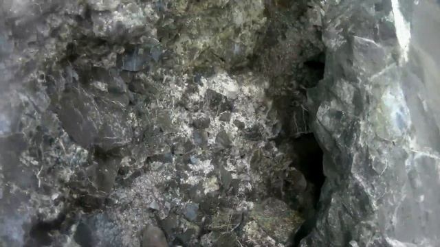 Разведка на Змее