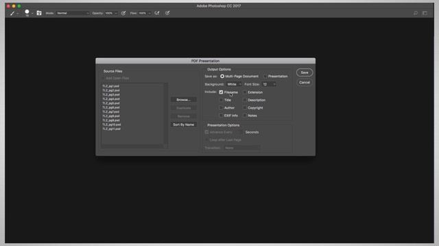 04-03 Экспорт в PDF