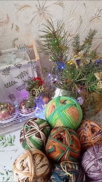 СП Бешеные носки 2026