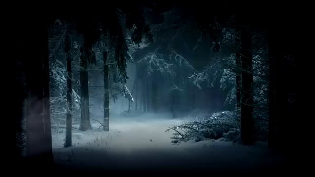 Зима в лесу... Эмбиент...