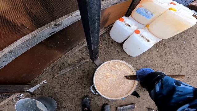 Перед самой зимой. Пришла пора собрать урожай. Проект ИНДЮК.