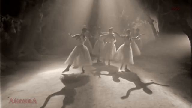 Сказки русского леса.