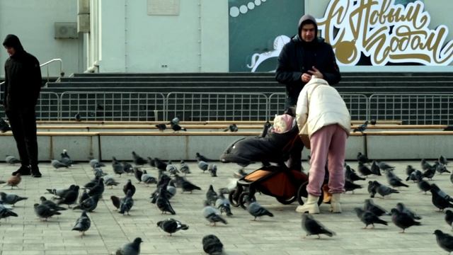 Анапа встречает Новый год // Снимал для вас объективом Индустар-61 л/з 31 декабря 2025 года