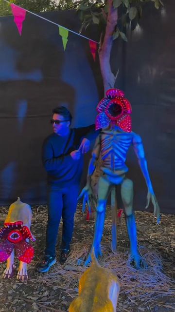 В индийском городе Нагпур прошло бюджетное мероприятие по мотивам сериала «Очень странные дела».