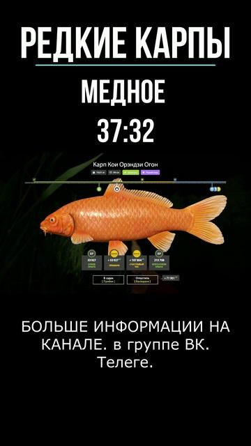 РЕДКИЕ КАРПЫ НА МЕДНОМ. Русская рыбалка 4. рр4