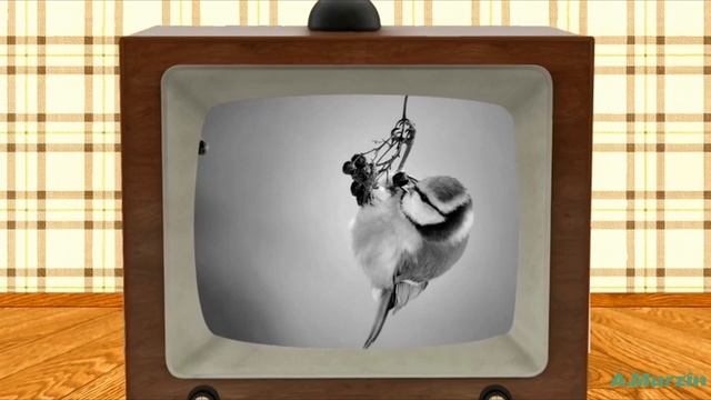 Alexander Karshkov - Piano Concerto