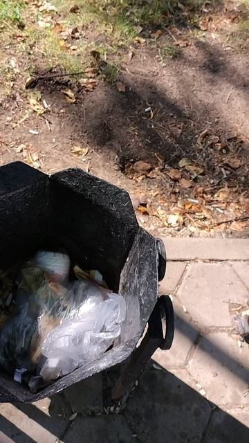 №520	Комсомольский проспект. 15 августа 2025 г., 15:14:09 VID_20250815_151358649