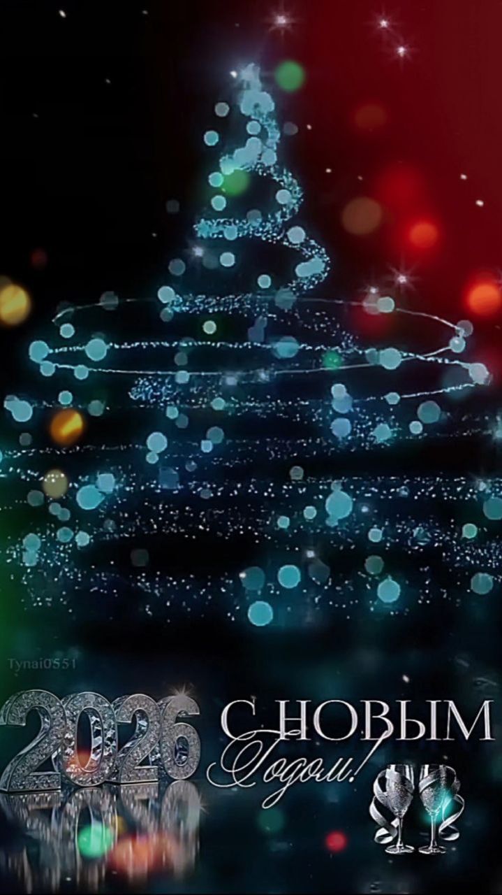 С новым годом! Алания в шортах. Итоги года