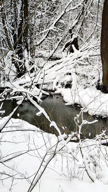 Живые картины русской природы 5