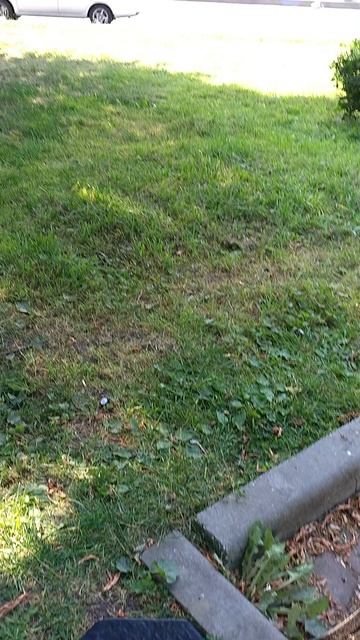 №528	Комсомольский проспект. 15 августа 2025 г., 15:17:51 VID_20250815_151740203