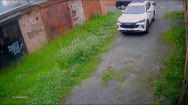 Бдительный сосед