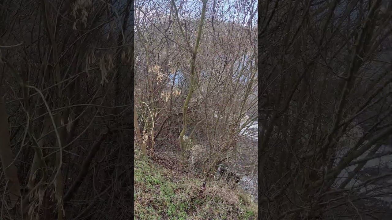 Обстановка на Понуре часть 8.