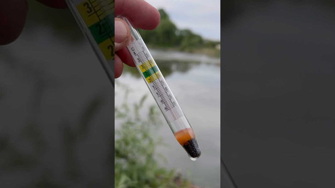 09.05.2024 температура воды в реке Понура.