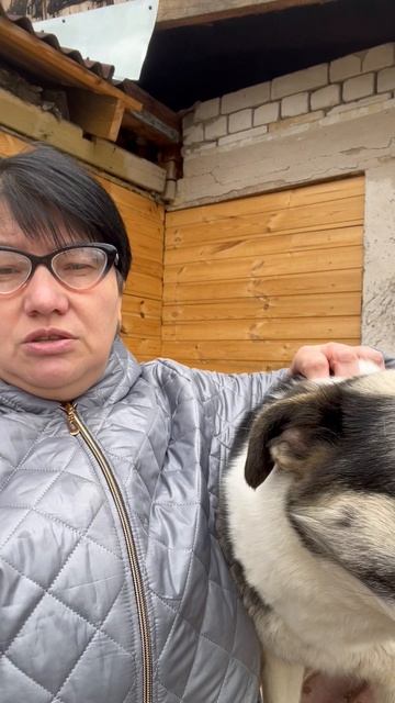 Игорь Алтайский. Отзыв. Послушно.ру