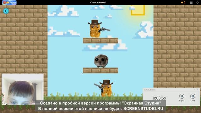 играем в спаси хомечка