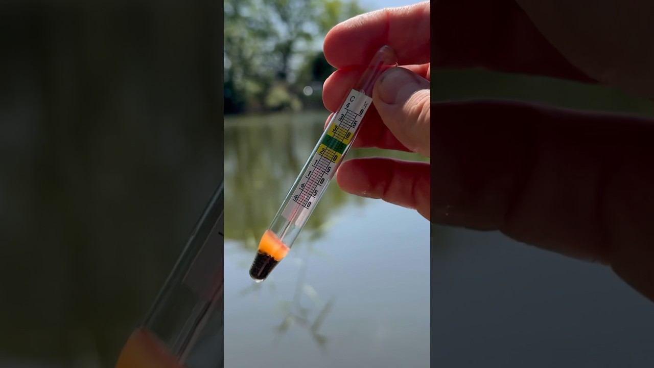 04.05.2024 температура воды в реке Кочеты.