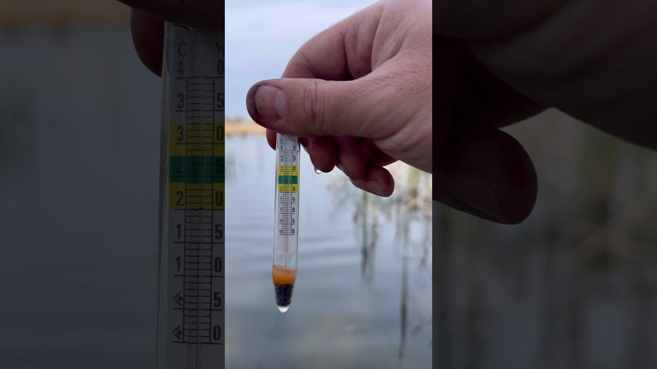 06.04.2024 температура воды в реке Понура.