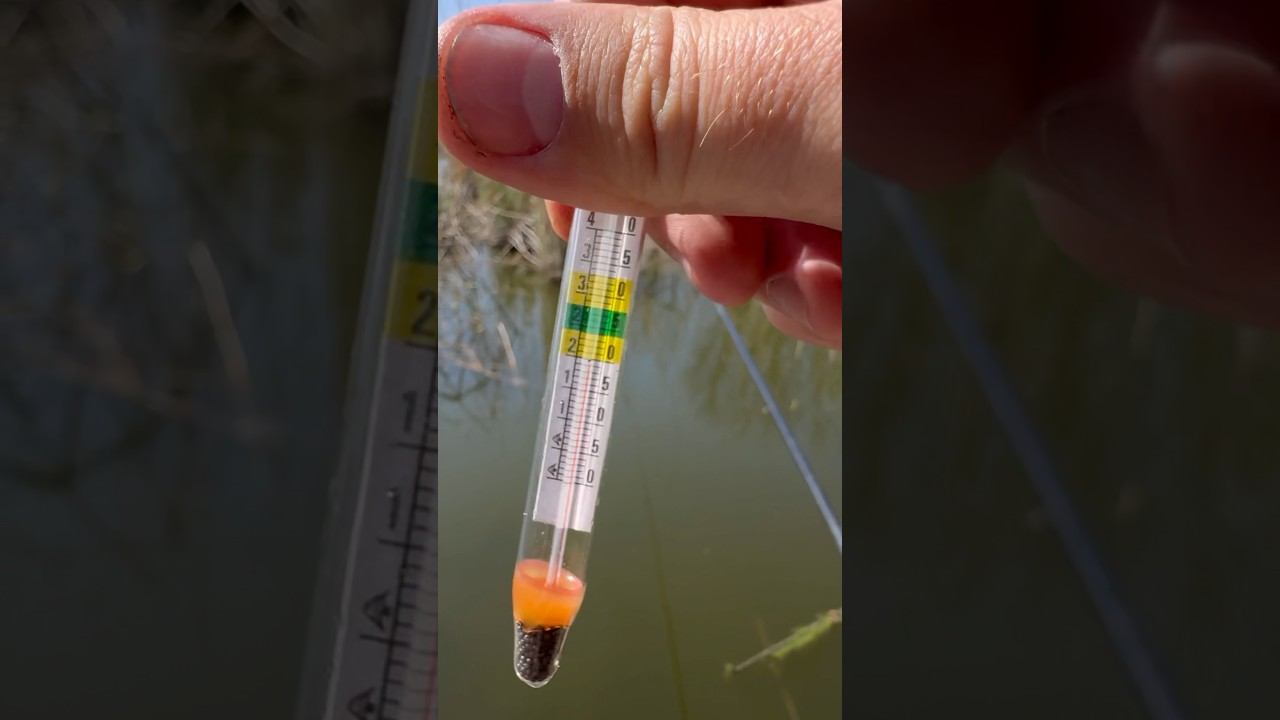 10.04.2024 температура воды в реке Понура.