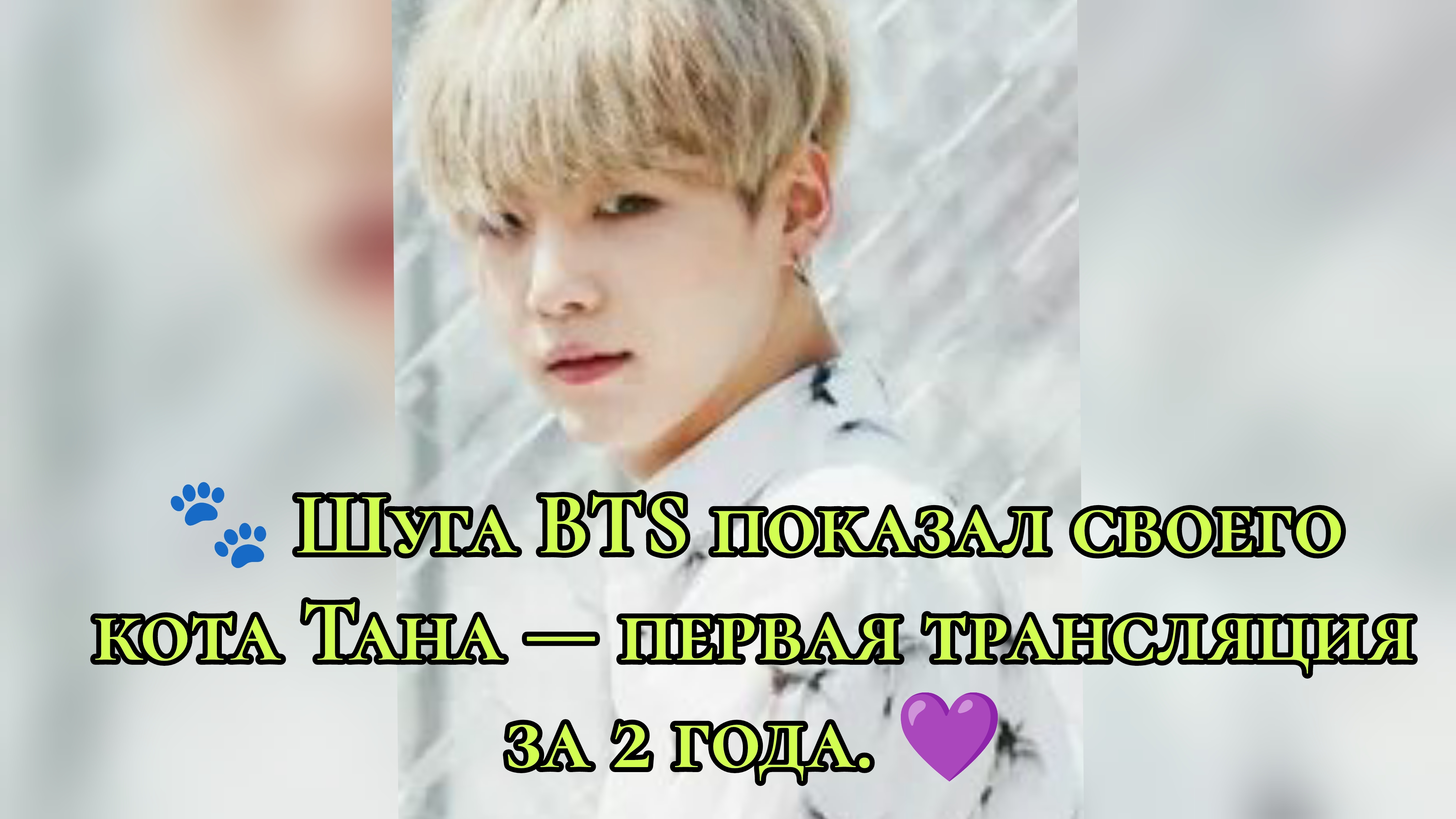 🐾 Шуга BTS показал своего кота Тана — первая трансляция за 2 года 💜