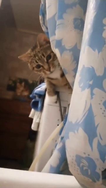 Игра в прятки