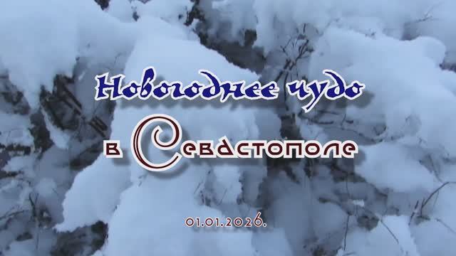 Новогоднее чудо в Севастополе... 01.01.2026