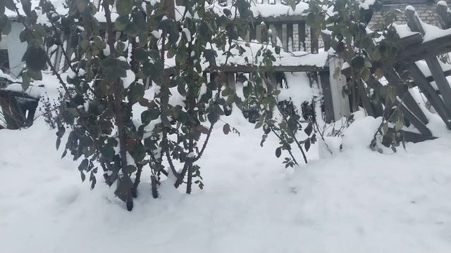 СЪЁМОК НЕ БУДЕТ 😔🌲 НОВЫЙ ГОД И НОВЫЙ ПРОЦЕСС 🧶