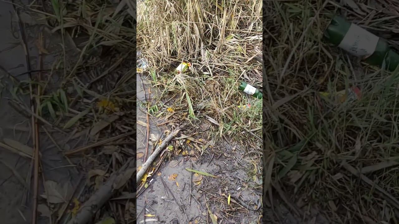 Обстановка на Понуре часть 3.