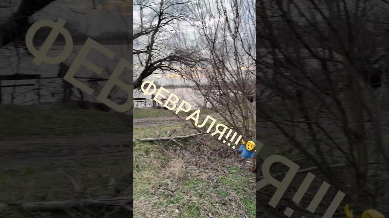 Обстановка на Понуре часть 11.