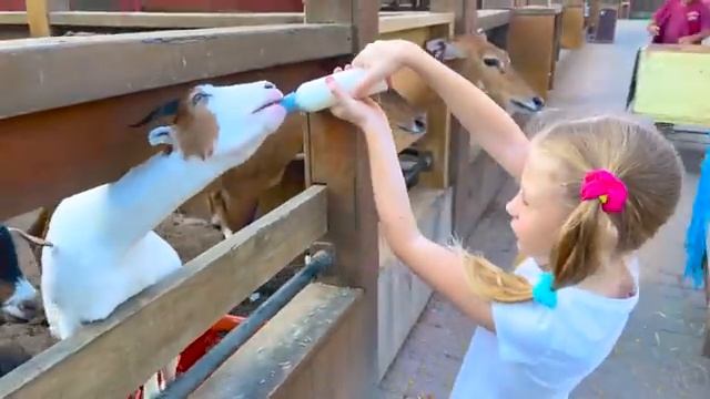 Приключения и игры Насти и папы в большом выпуске видео для детей