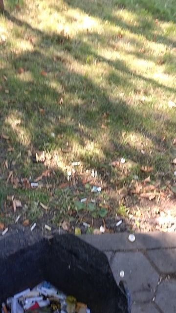 №523	Комсомольский проспект. 15 августа 2025 г., 15:15:31 VID_20250815_151519678