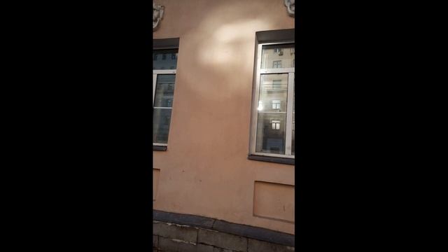 Москва 1 Проспект Мира_2023