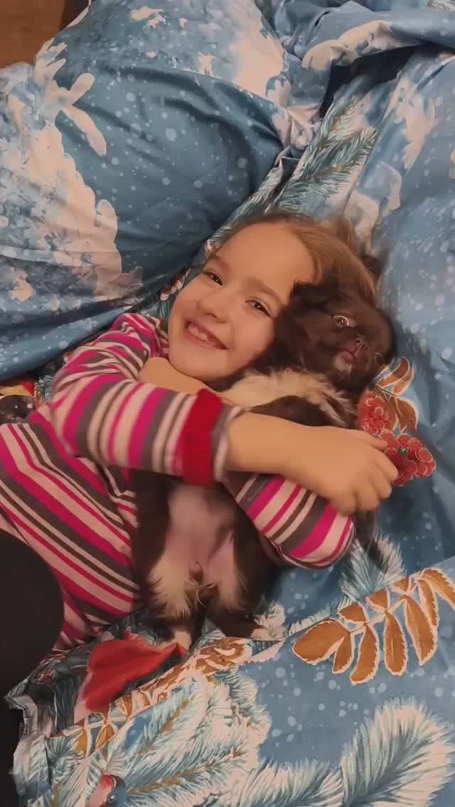 С Наступающим Новым 2026 годом ! #новыйгод