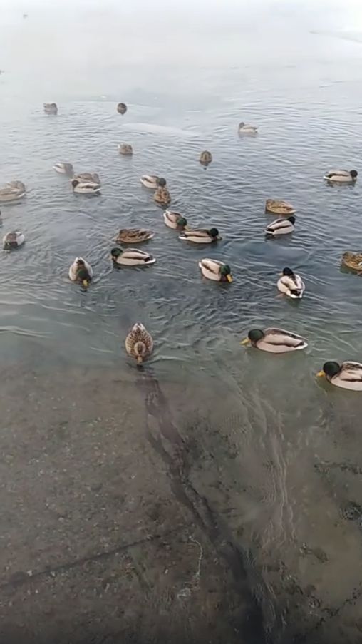 Зима на Ангаре