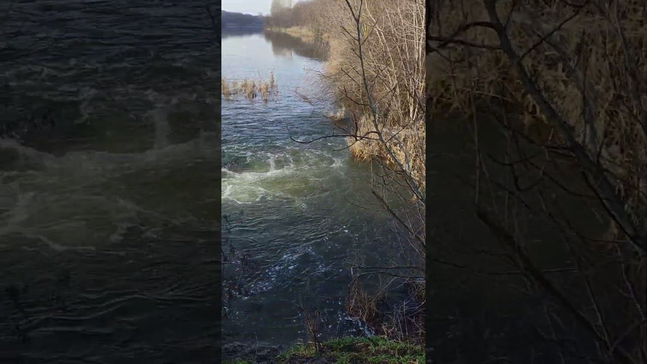 Обстановка на Понуре часть 6.