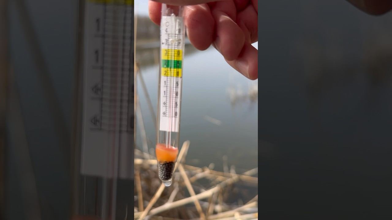 31.03.2024 температура воды в реке Понура.