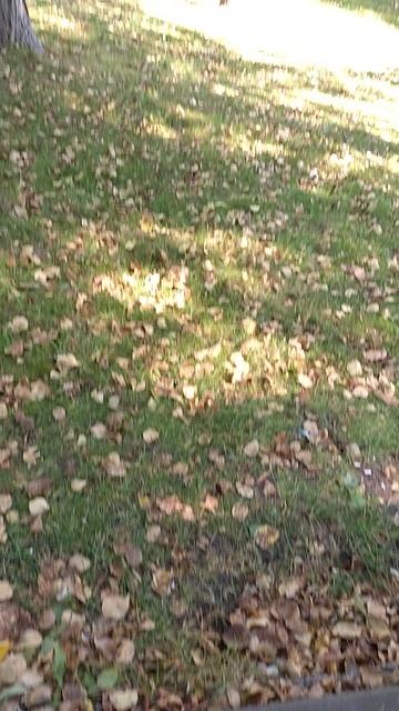 №522	Комсомольский проспект. 15 августа 2025 г., 15:15:05 VID_20250815_151454568