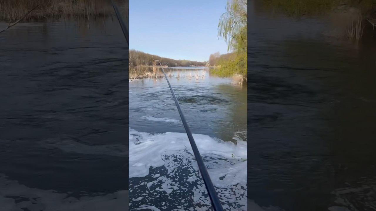 Обстановка на Понуре часть 16.