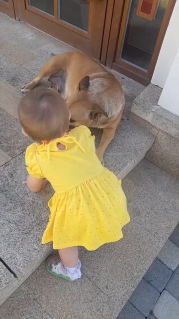 12 мес.,8 дн.Изучает собачку Найду. 30 июля 2023.mp4