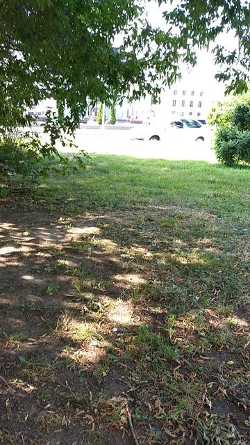 №526	Комсомольский проспект. 15 августа 2025 г., 15:17:03 VID_20250815_151647673