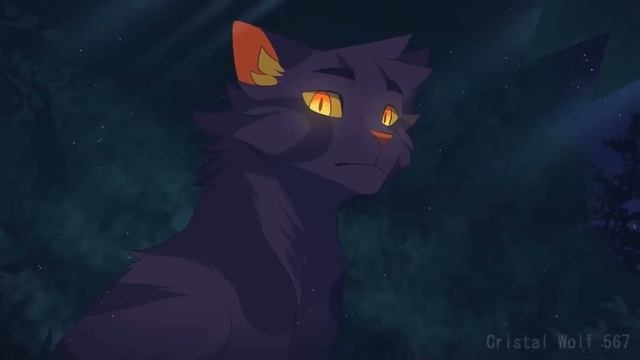 Частокол/Мап/Коты воители