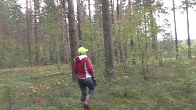 Разведка на островах. Грибы соснового бора.  10 сентября 2017 года